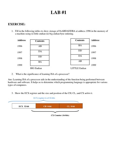 Solution Computer Architecture Organization Course Lab Workbook With Complete Solution Assembly