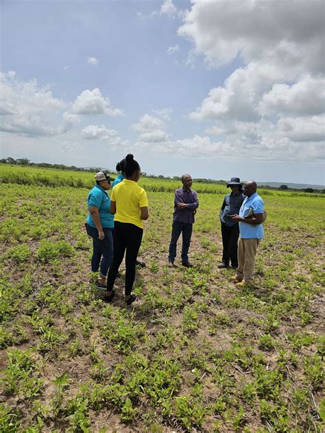 Alecia Bennett Bryan Msc Ma Pgdip Pmp® On Linkedin Learning