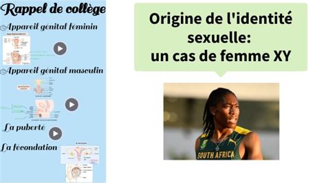 Différenciation Sexuelle Genially Différenciation Sexuelle Genially