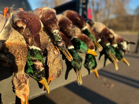 Ashley Barta Theashleybarta • Instagram Photos And Videos