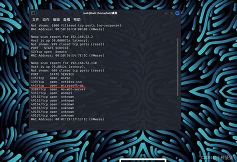 永恒之蓝ms17 010漏洞复现 445端口永恒之蓝 Csdn博客