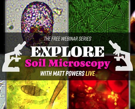 Soil Microscopy Matt Powers