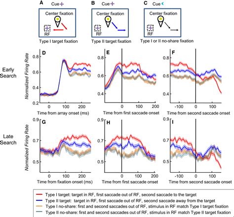 Feature Based Attention In The Frontal Eye Field And Area V4 During Visual Search Neuron