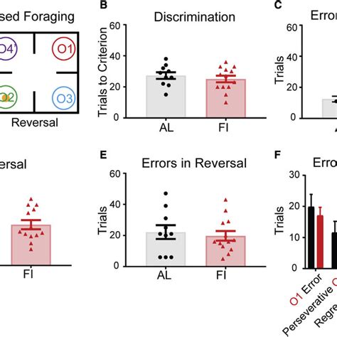 In Female Mice Developmental Feeding History Did Not Affect Adult Download Scientific Diagram