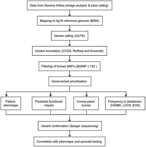 Variant Analysis And Prioritization Workflow Summary Of Our Variant Variant Analysis And Prioritization Workflow Summary Of Our Variant