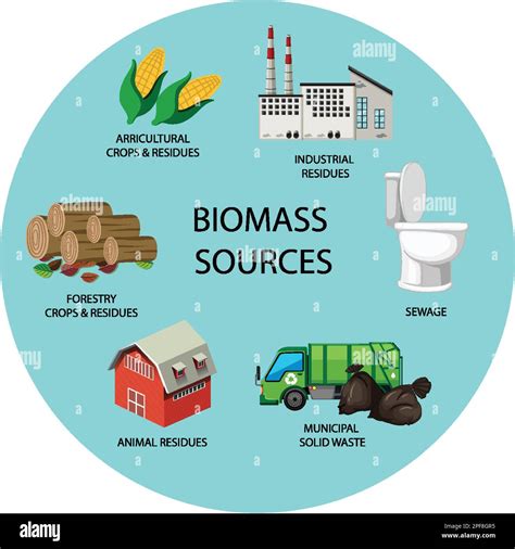 The Many Forms Of Biomass Energy Illustration Stock Vector Image And Art