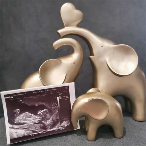 大马主播一姐「萧慧敏」晒超声波照片~宣布怀孕喜讯！