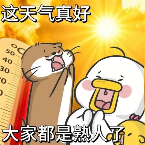 《这天气真好，大家都是熟人了》，可爱萌宠热到 变形”的表情包 笑死了，吐槽天气热的表情包都在这里了！表情包图片动图 求表情网斗图