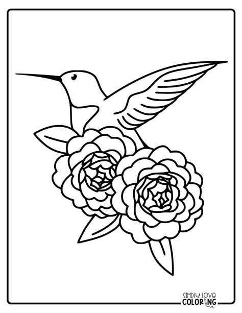 Hummingbird With Flower Coloring Page