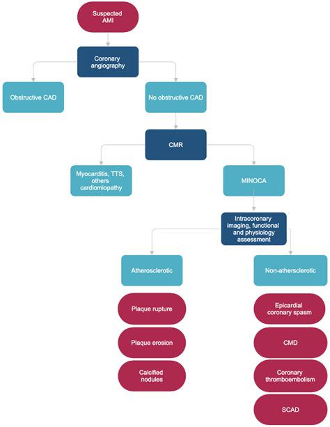 Myocardial Infarction With Nonobstructive Coronary Arteries Minoca