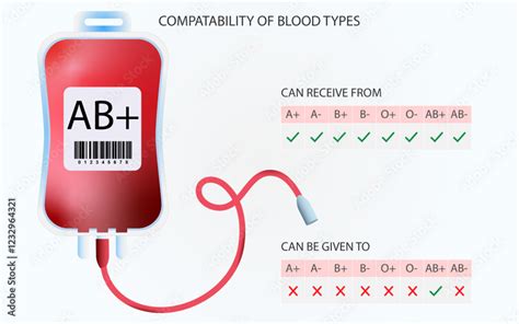 Ab Blood Types Compatibility Chart Template B Positive Blood Group