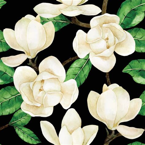 Seamless Pattern With White Magnolias On A Black Background Watercolor