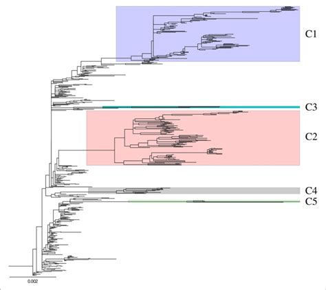 Genetic Characterization Of H5n8 High Pathogenicity Avian Influenza