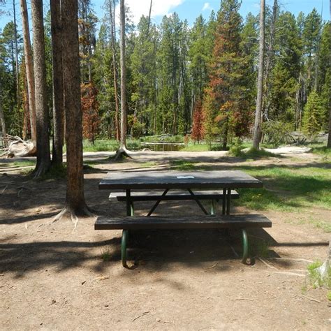 Vacation Cabins Close To Yellowstone National Park — Visit Island Park