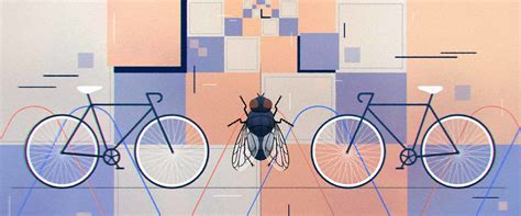 Exploring Series And Sequences In Calculus