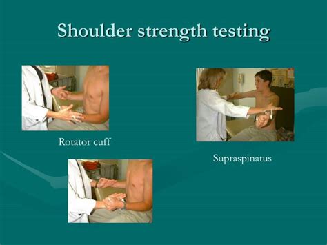 Ppt The Musculoskeletal Examination In The Elderly Powerpoint