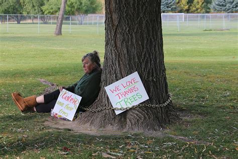 Citizen Locked On To Travers Park Tree Bonner County Daily Bee