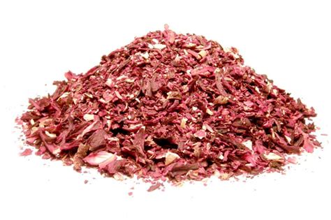 Ibištek Sudánsky Kvet Rezaný Byliksk