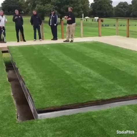 Dhanushka Amarasinghe Posted On Linkedin