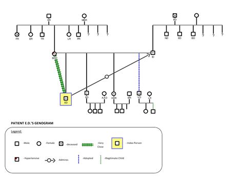 Genogram Pdf