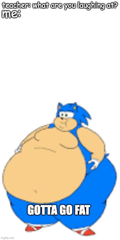 Fat Sonic The Hedgehog  Fat Sonic The Hedgehog S Tenor