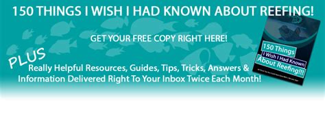 Bryopsis Algae These Methods Will Win The Battle The Beginners Reef