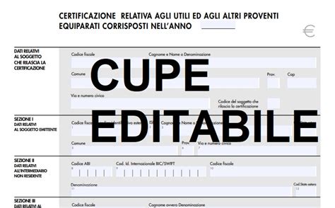 Cupe 2024 Editabile