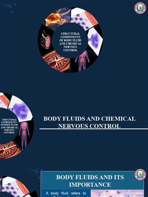 Gen Bio Pdf Endocrine System Neuron