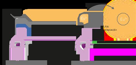 Time Resolved Fluorescence Measurements Bmg Labtech
