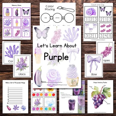 Purple Learning Pack Ftl Of Homeschooling