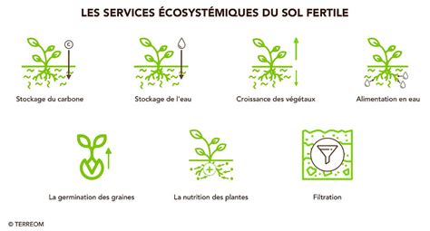 Mesurer La Fertilité Du Sol Outils Et Méthodes Terreom Formation