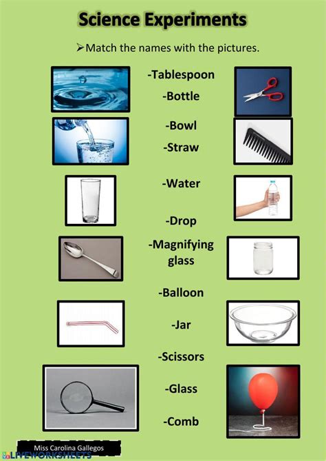 Science Experiments Worksheet Live Worksheets Worksheets Library