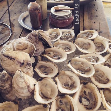 Auburn University Shellfish Lab Second Class In Our Oyster Farming