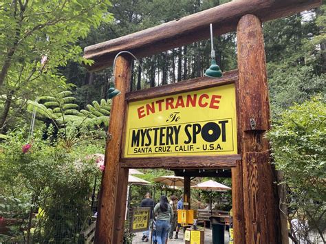 What Is The Santa Cruz Mystery Spot Detroit Chinatown