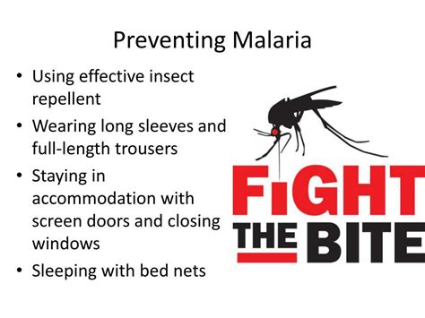 Ppt Malaria Powerpoint Presentation Free Download Id5823662