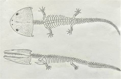 Koolasuchus Skeletal By Makairodonx On Deviantart
