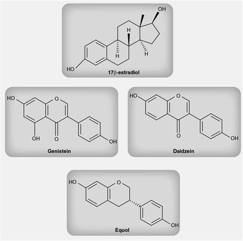 Influence Of Sex Hormones And Phytoestrogens On Heart Disease In Men