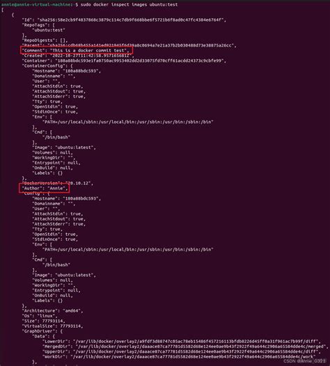 怎么查看container对应的镜像是哪个 如何查看docker镜像mob64ca140b0bc8的技术博客51cto博客