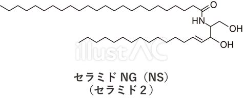 Free Vectors Structural Formula Of Ceramide 2 Ceramide Ns Ng