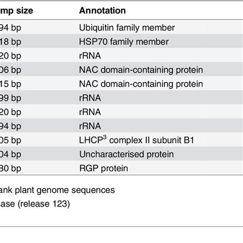 Bioinformatics Pipeline For The Identification Of Dna Barcodes In The
