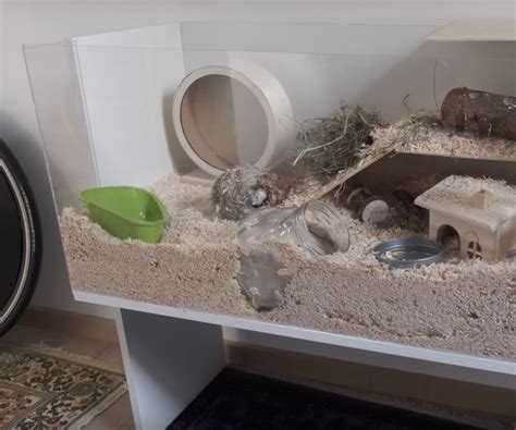 Diy Dwarf Hamster Cages