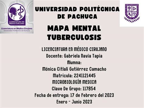 Tuberculosis Mapa Mental Citlali Gutierrez Udocz