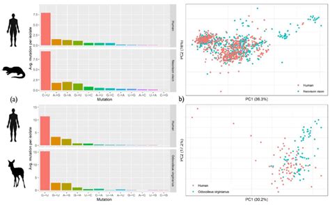 Host Specific Genomic Landscapes A Nucleotide Nucleotide Transition Download Scientific