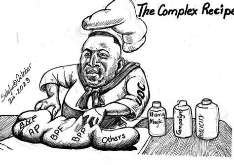 The Complex Recipe Mmegi Online