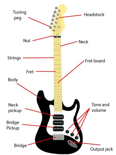 Electric Guitar Parts Diagrams Definitions