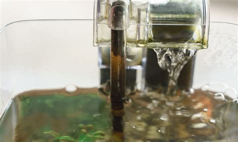 The Best Small Aquarium Filter 2020 Get Aquarium Fish