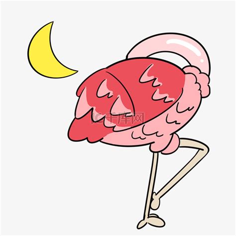 睡觉的火烈鸟素材图片免费下载 千库网