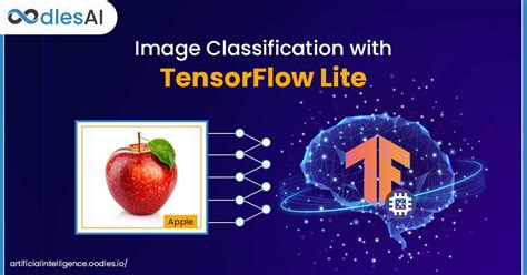 Deploying Image Classification With Tensorflow Lite On Android By