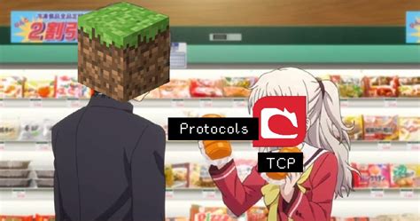 The Minecraft Protocol ପ๑•ᴗ•๑ଓ