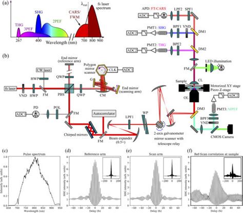 Multimodal Ft Cars Microscope A Illustrated Spectrum For The Optical